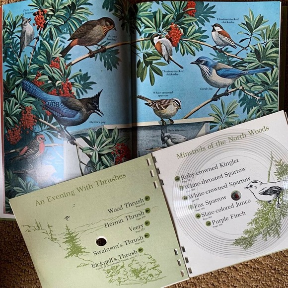 Vintage | Accents | Song Garden Birds North America Book Record Set ...